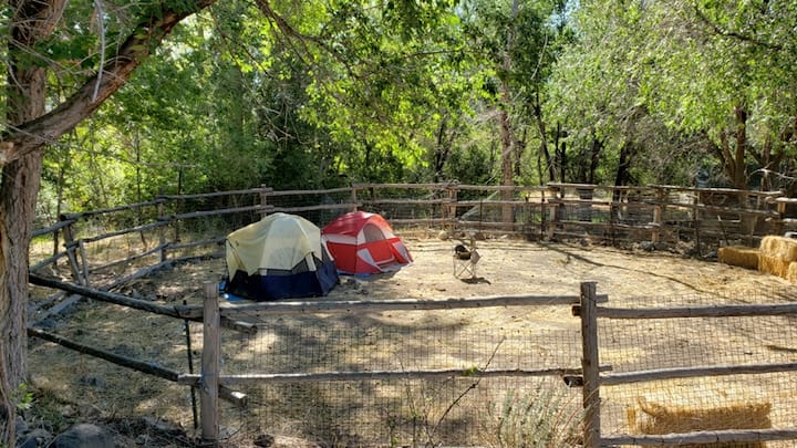 Curry Group Tent Site At Sage View Ranch Paonia Co - Paonia, CO