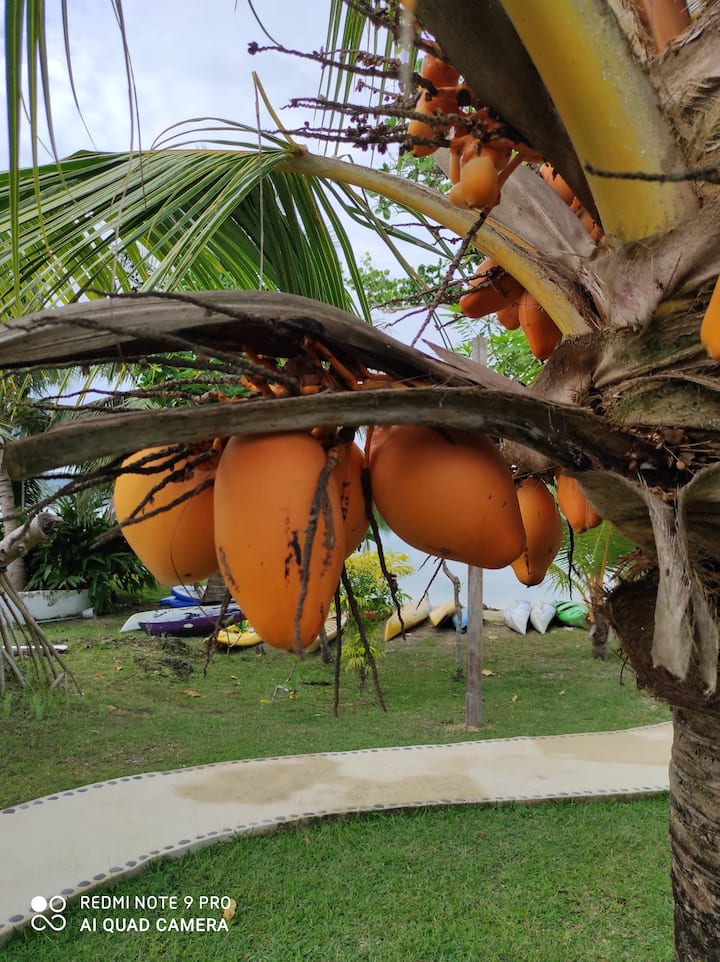 Lovely 3- Bedroom Vacation Home With Free Parking. - Vanuatu
