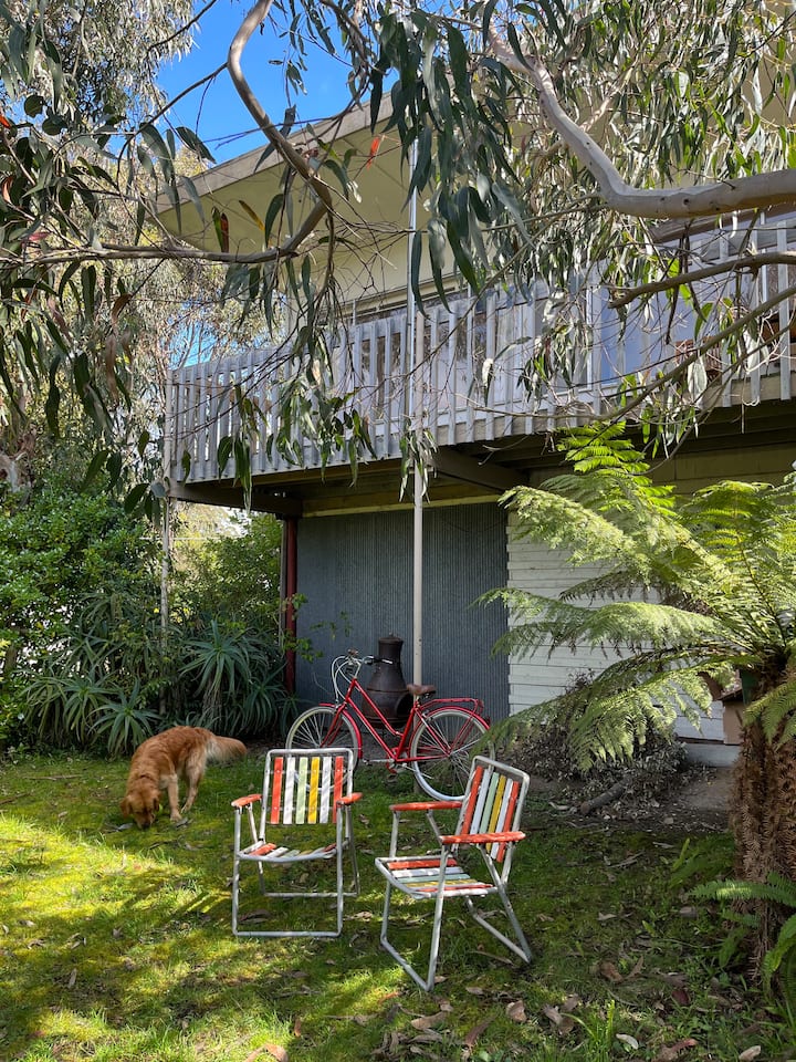 Original 60’s Beach Shack With Sea Views - Apollo Bay