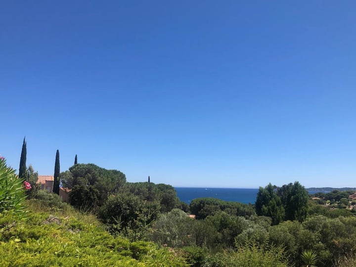 Ste Maxime, Superbe Appartement Résidence Piscine - Sainte-Maxime
