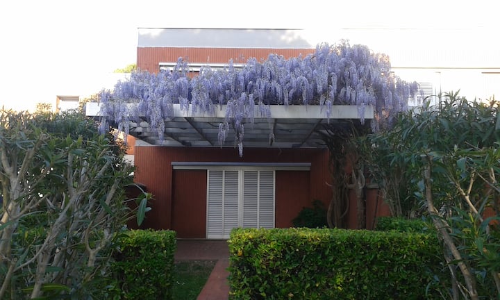 Wisteria Chalet, Shared New Swimming Pool. - Cecina