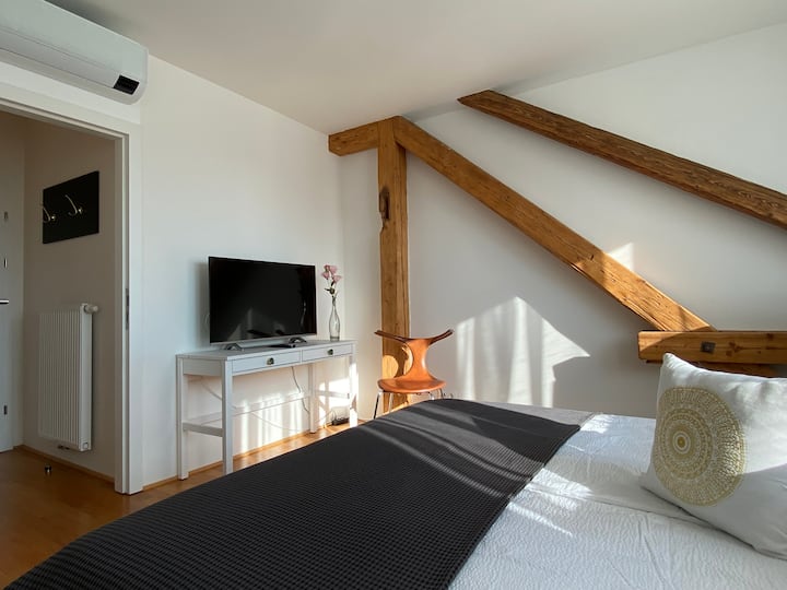 Ruhiges Serviced Apartment Im Zentrum Von Graz - Graz