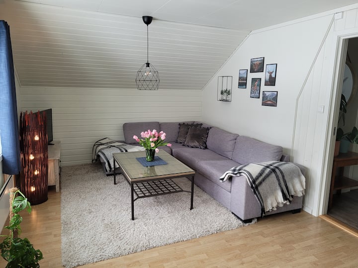 Large, Cozy, Family-friendly Bua Apartment - Gudvangen