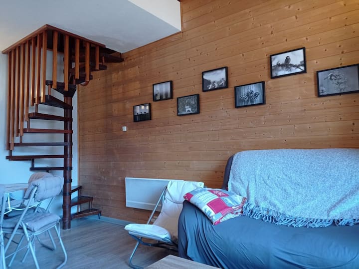 Grand Duplex Orienté Sud Face Aux Pistes - Gréolières les Neiges