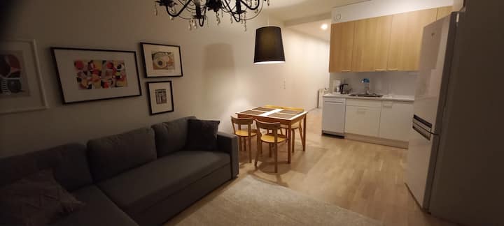 Hyväkuntoinen Kaksio Omalla Saunalla! - Kokkola