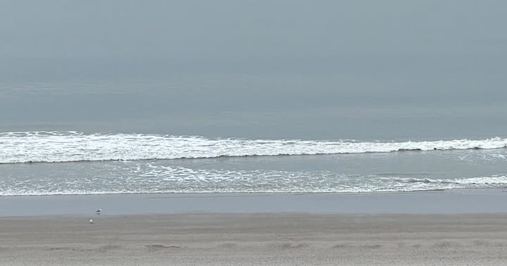 *Cozy Oceanfront Beach Haven Condo - South Carolina