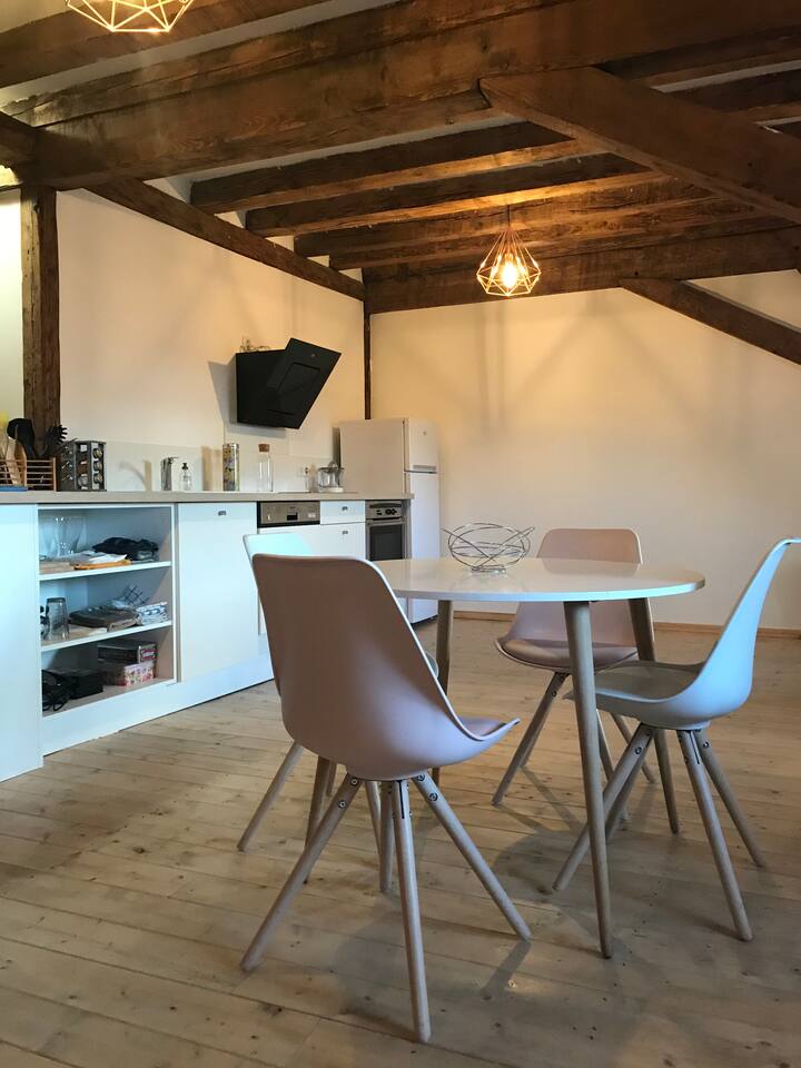 Appartement Haguenau Centre Ville 2 Pers - Haguenau