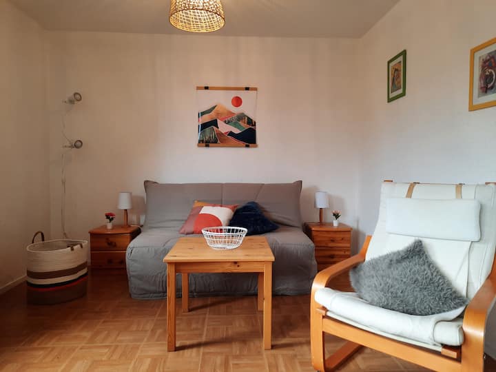 Bel Appartement Confortable 4 Personnes Vue Sancy - Puy de Sancy