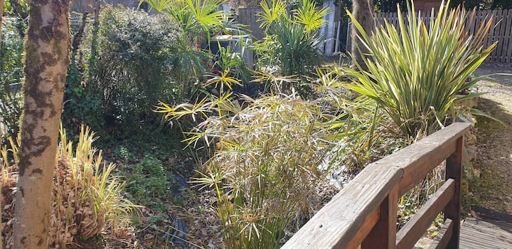 Grand Chalet En Bois Dans Un Terrain Arboré - Montauban