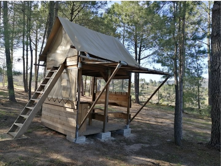 Mobile Home 13 - 2 Chambres D - Parc national des Cévennes