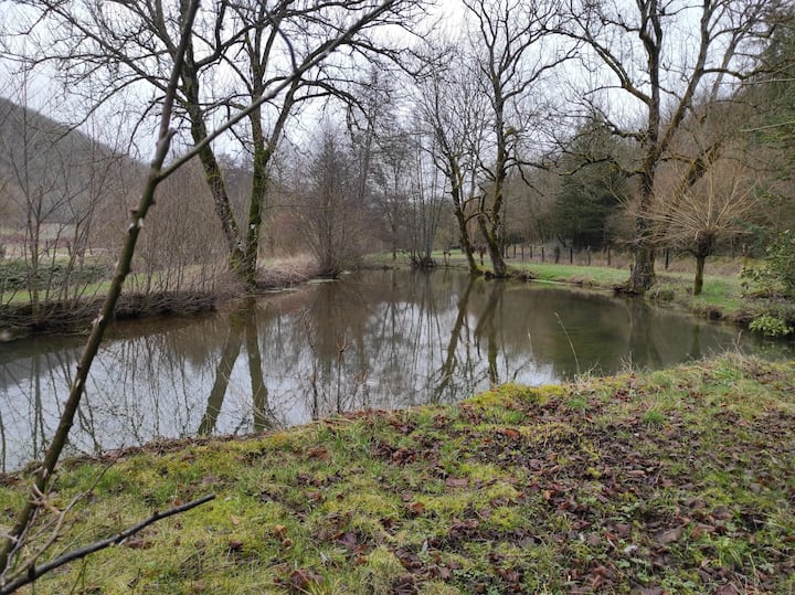 Moulin Aux Ecrevisses / Chambre Chevreuil - Joinville