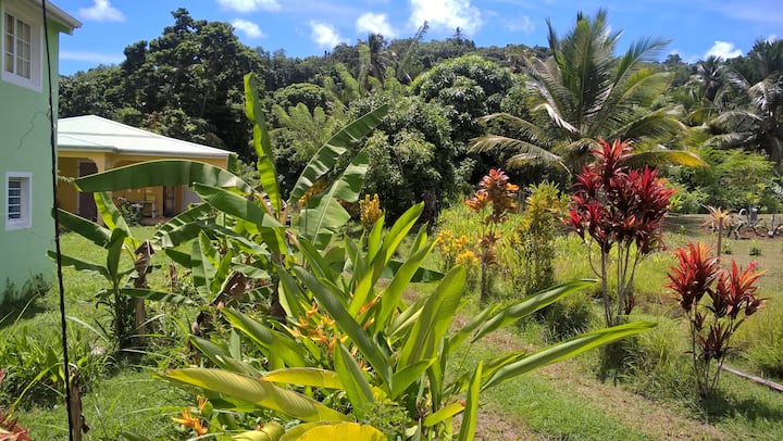 Grand F2 Meublé Au Frais & à La Montagne :-) - Martinique
