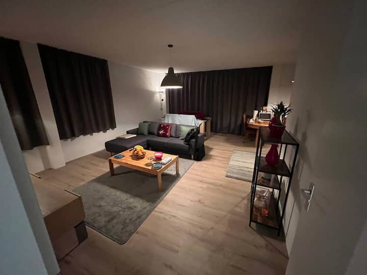 Cosy Apartment (Shared With Owner) - Leeuwarden