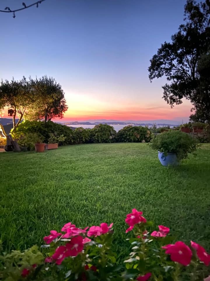 Meravigliosa Villa Pollicino - Arzachena