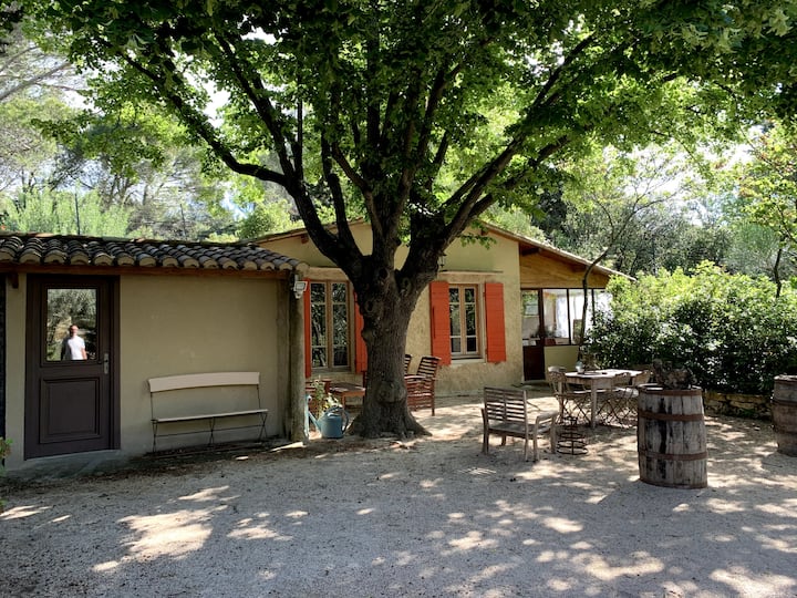 Mazet Provençal - Orange