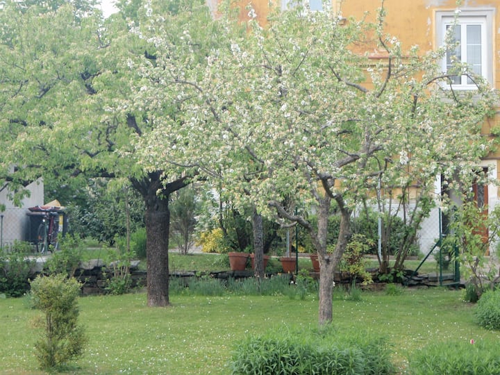Central, Quiet, Green - Newly Renovated For 3! - Klagenfurt am Wörthersee