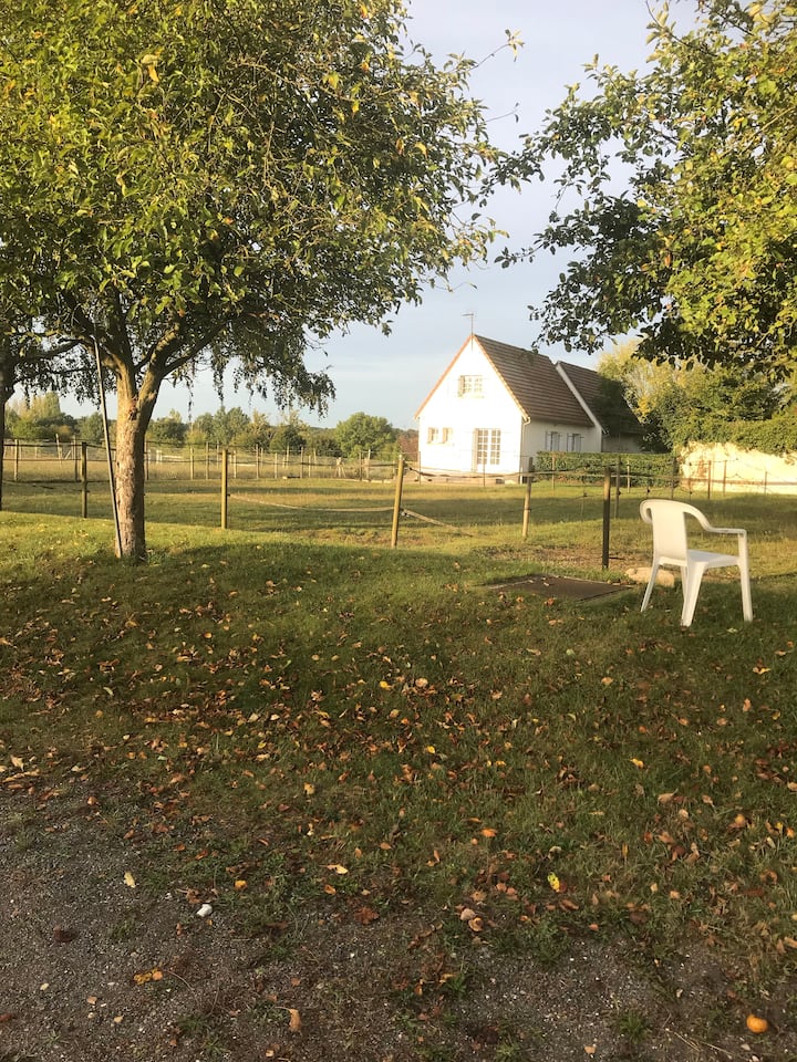 Avilly Saint Leonard : En Pleine Nature... - Senlis