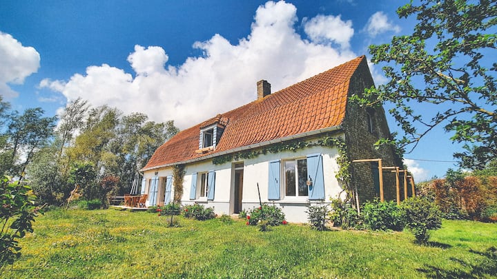 Oasis De Verdure Au Marais - Saint-Omer