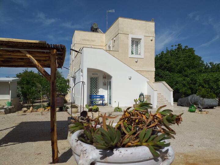 Appartamentino Con Angolo Cottura 3 Posti Letto - Galatone