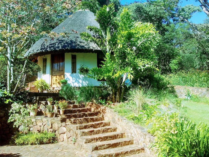 Mwané Cottage - Harare