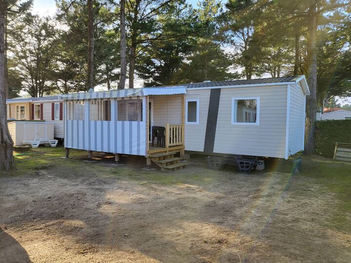 Mh Neuf 3 Ch Bois Masson - Saint-Jean-de-Monts
