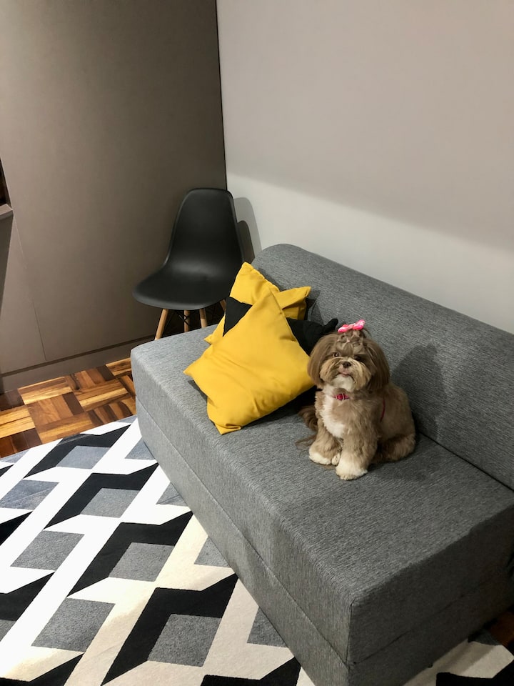 ÓTimo Jk Em Frente à Ufrgs - Santa Casa - Porto Alegre