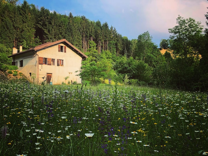 With Sauna/hot Tub*in The Woods-triple Room In B&b - Feltre