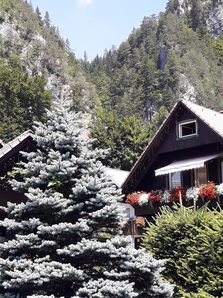 Dalija Je Prijetno Dvosobno   Stanovanje 55m2 - Kranjska Gora
