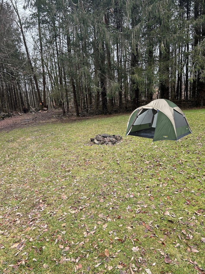 Campground In Swan Lake Site 2 - Bethel, NY