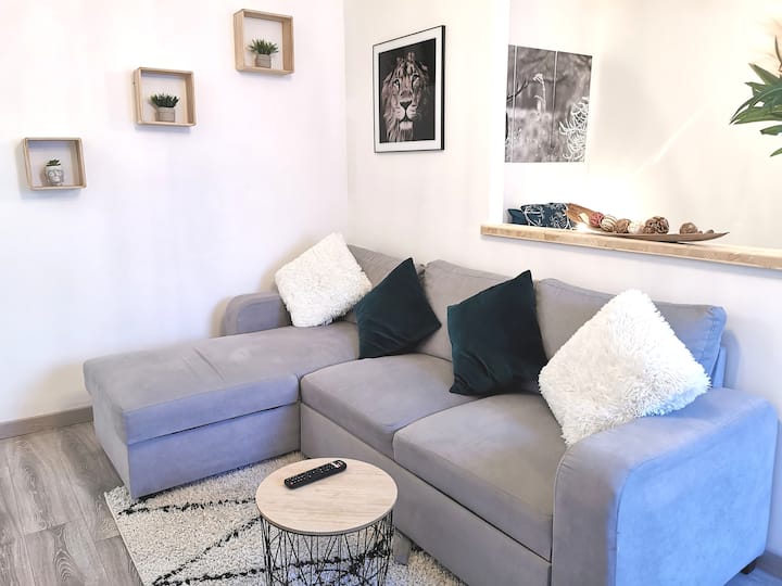Superbe Appartement Centre Ville Proche Des Pistes - Morez