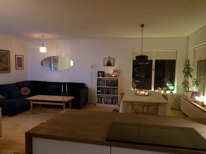 Lovely 2 Bedroom Rental-free Parking On Premise - Reikiavik