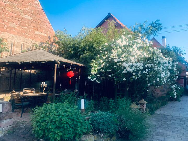 Appartment Mit Küche Und Duschbad - Haßloch