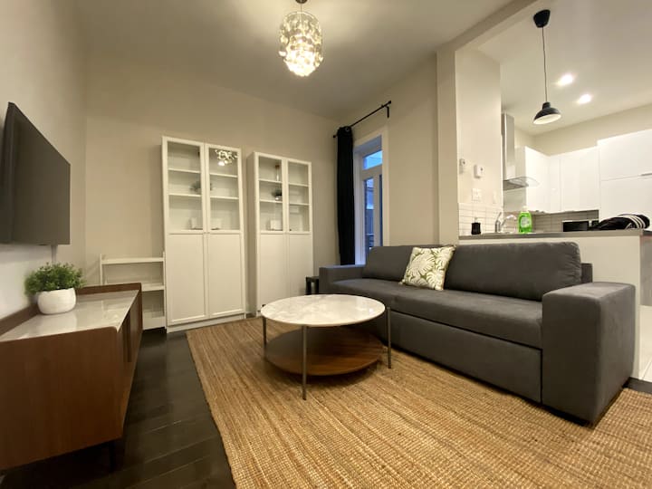 Appartement Entièrement Meublé 1 Chambre 2-4133 - Montreal