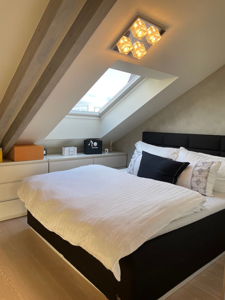 Exclusive, Cozy, Elegant Frogner Apartment In The Center Of Oslo - Oslo