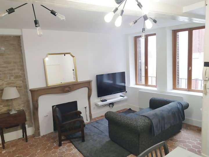 Le Cosy : Au Cœur De Dijon *Rue Du Bourg* - Dijon