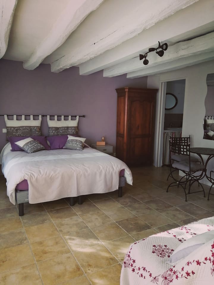 La Pinsonnière Chambre Proche Châteaux De La Loire - Amboise