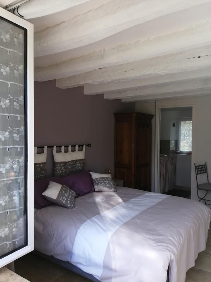 La Pinsonnière Chambre Proche Châteaux De La Loire - Bléré