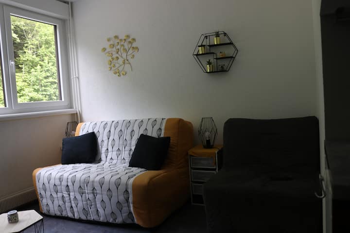 Résidence Les Pradets  63240 Le Mont Dore - 