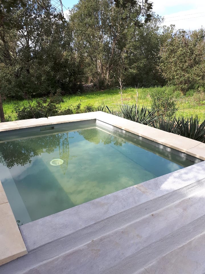 Jolie Maison Et Petite Piscine - Figari