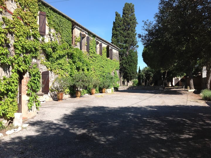 Chateau De Six Terres - Sète