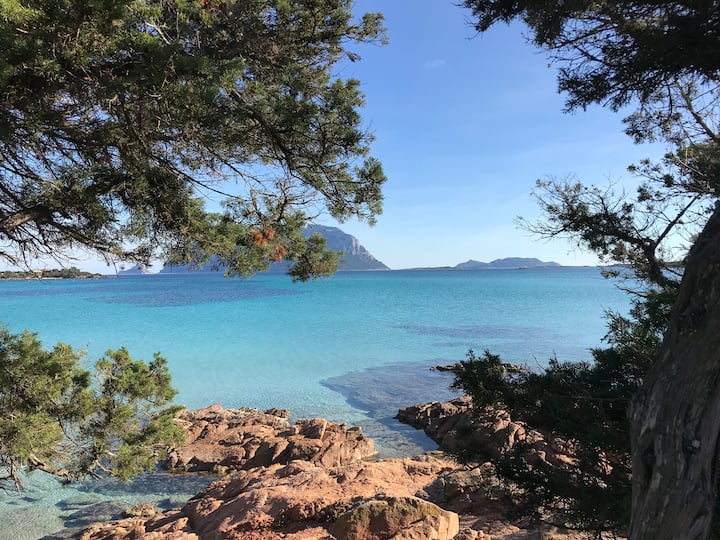 Cottage With Garden And Sea View - Sardaigne