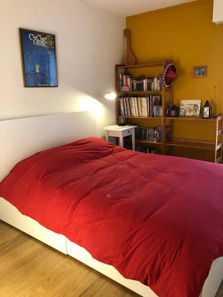 Chambre Privée Dans Duplex Avec Petit Balcon - Annecy