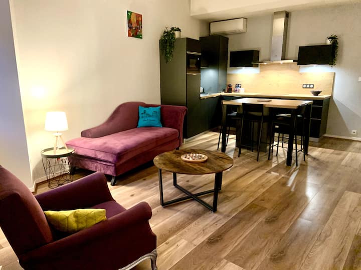 Appartement Climatisé Au Cœur De Lons - Lons-le-Saunier