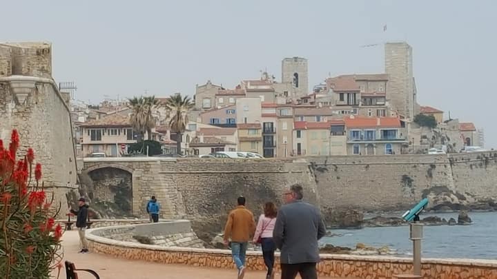 Les Patios - Antibes /Juan Les Pins - Antibes