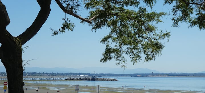 It's All Good In White Rock! An Exceptional Home. - White Rock