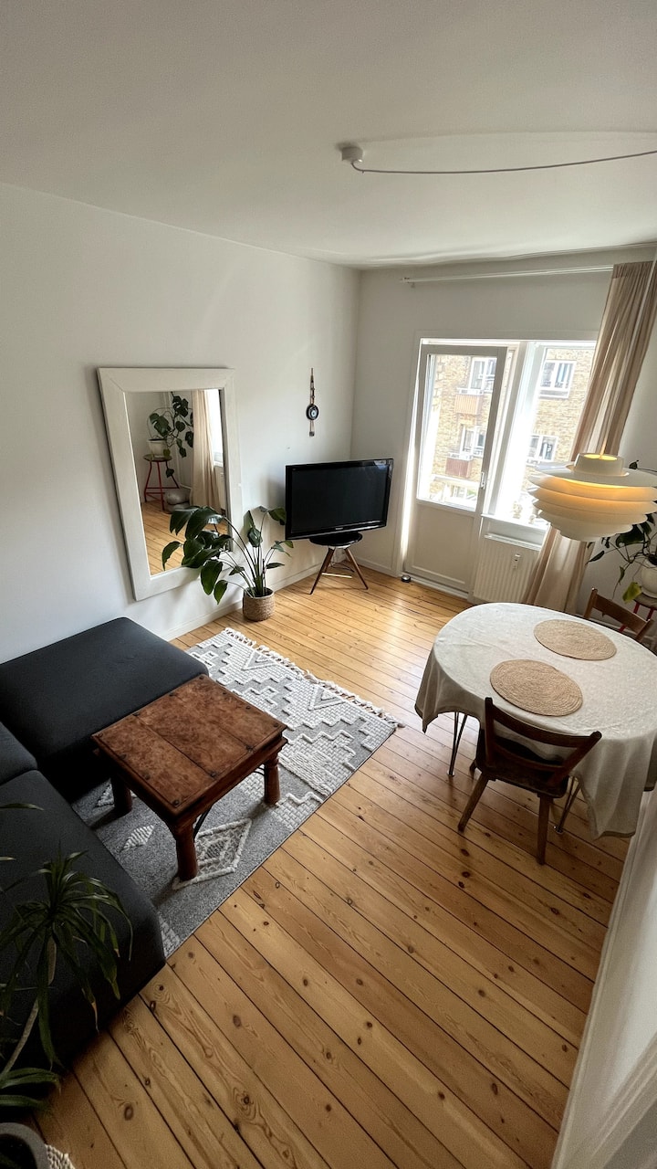 Newly Renovated 2 Room Apts. 5 Min To Cph Downtown - Copenhague
