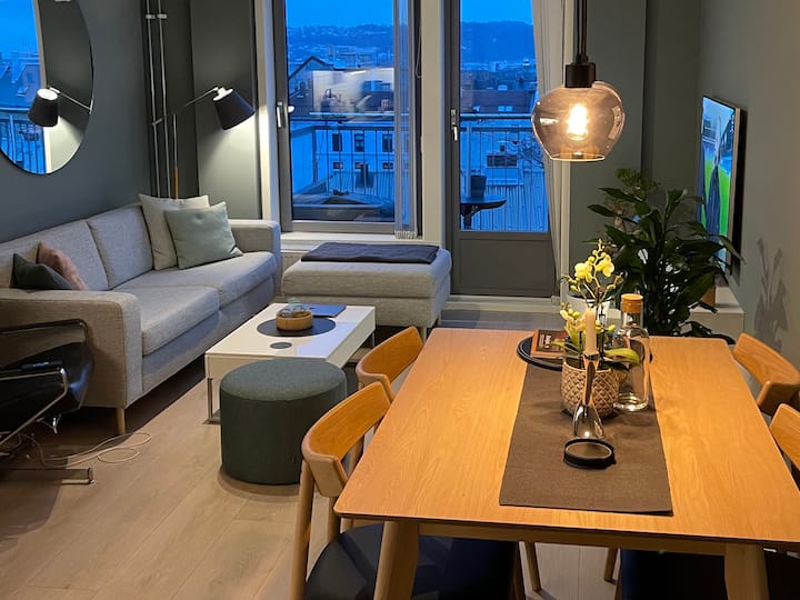 Lekker Og Nyoppusset Leilighet I Oslo - Oslo