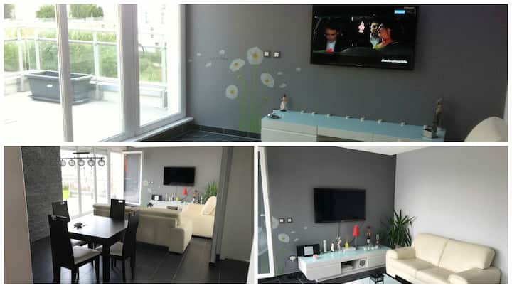 Obernai: Bel Appartement Moderne En Attique - Obernai