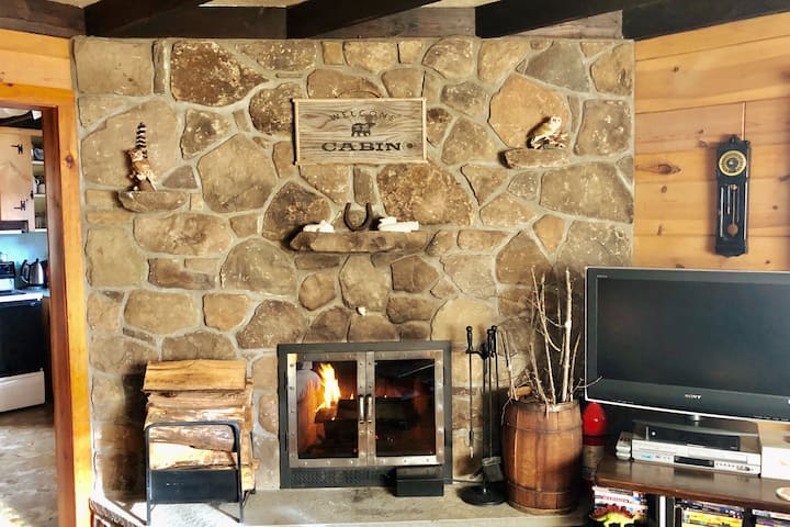 Precisely Cleaned And Comfy 4br, 2ba W/views Of Lw - Lake Wallenpaupack, PA