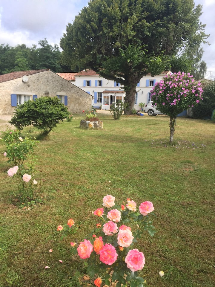 Miss Tantine - Rioux